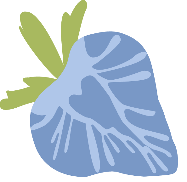 Projective Case Studies